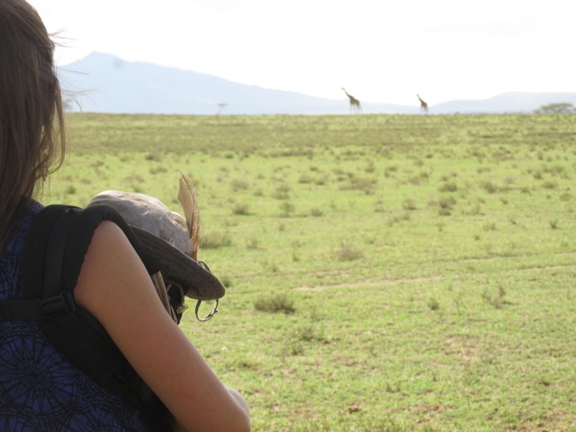 HOW DO I GET OFF THIS DAILY TREADMILL? Are you just making it through ...